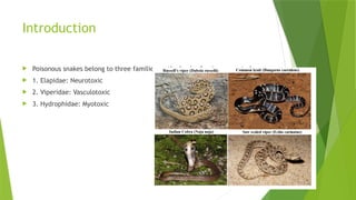 Snake bite Dr Deepika. Power point presentation | PPT