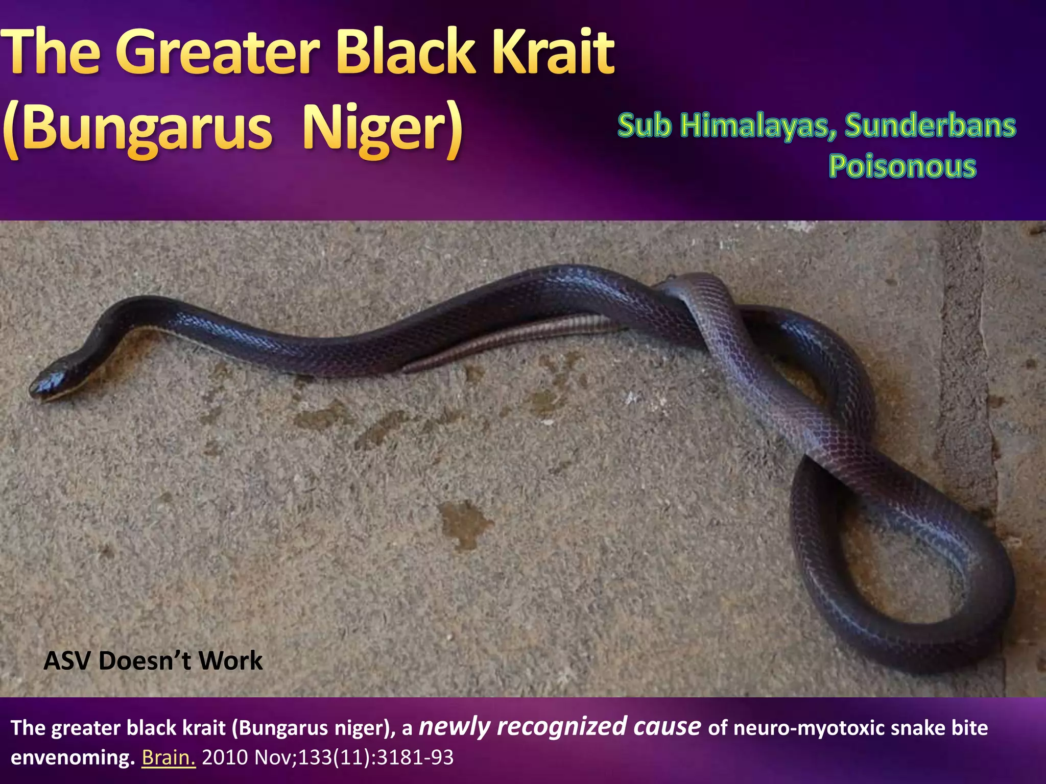 Snake bite management | PPTX