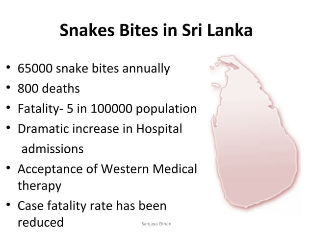 Snake bite,first aid, anti-venom treatment and ward management | PPT ...