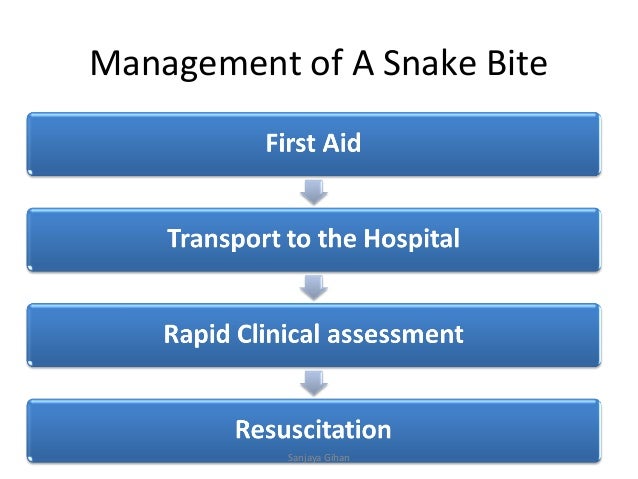Snake bite,first aid, anti-venom treatment and ward management