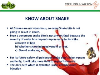 Snake bite first aid & control measures ppt 2 | PPTX