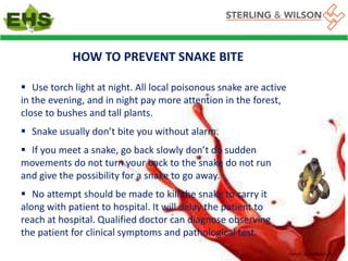 Snake bite first aid & control measures ppt 2 | PPTX