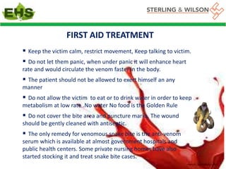 Snake Bite First Aid Procedures