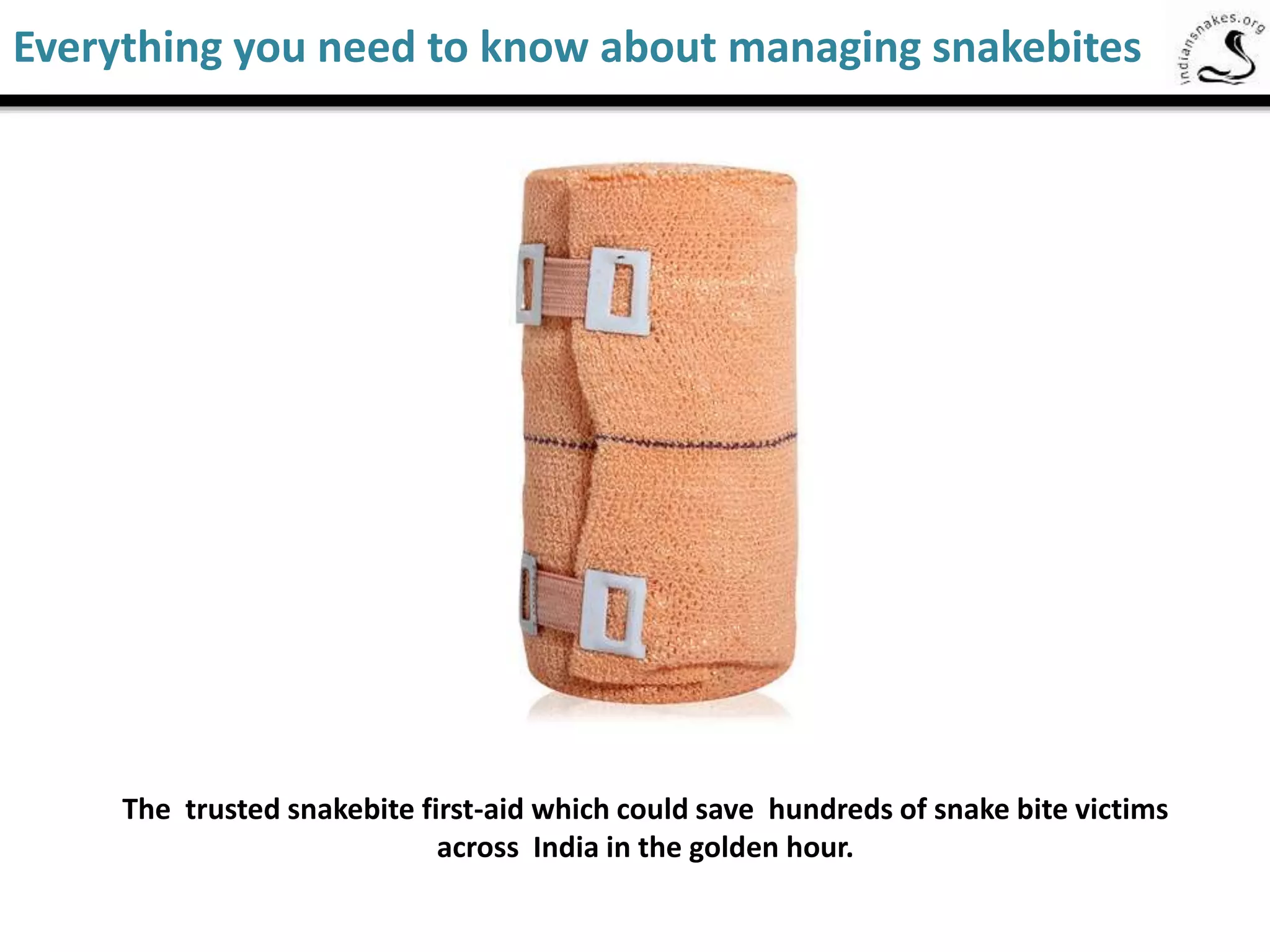 Snake Bite! - Firstaid, Facts & Prevention | PPSX