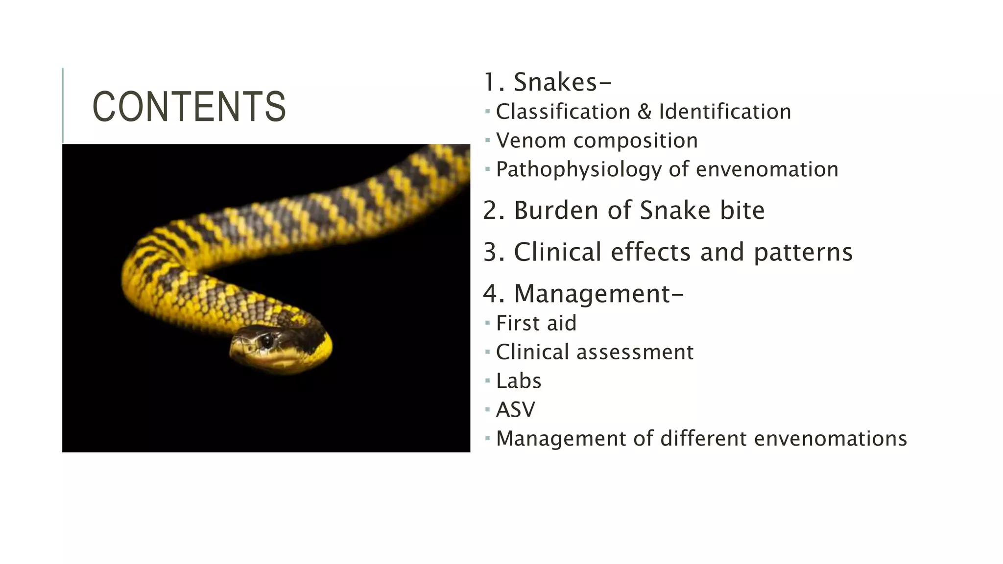 Snake bite in children | PPTX