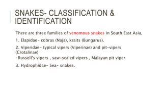 Snake bite in children | PPTX