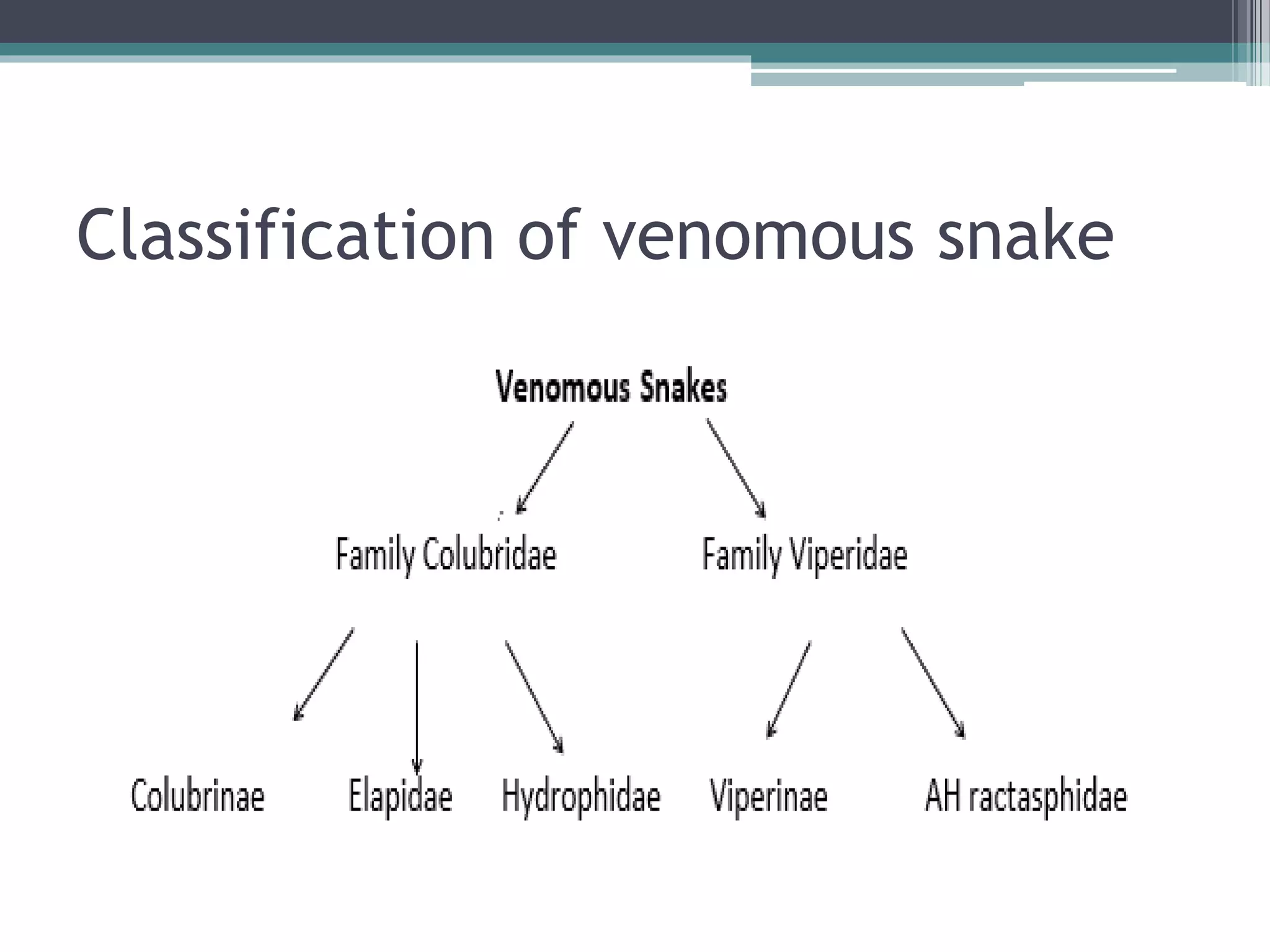 Snake bite management | PPTX