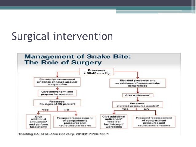 Snake bite management