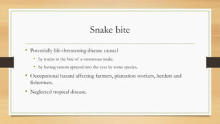 Snake bite management.pptx