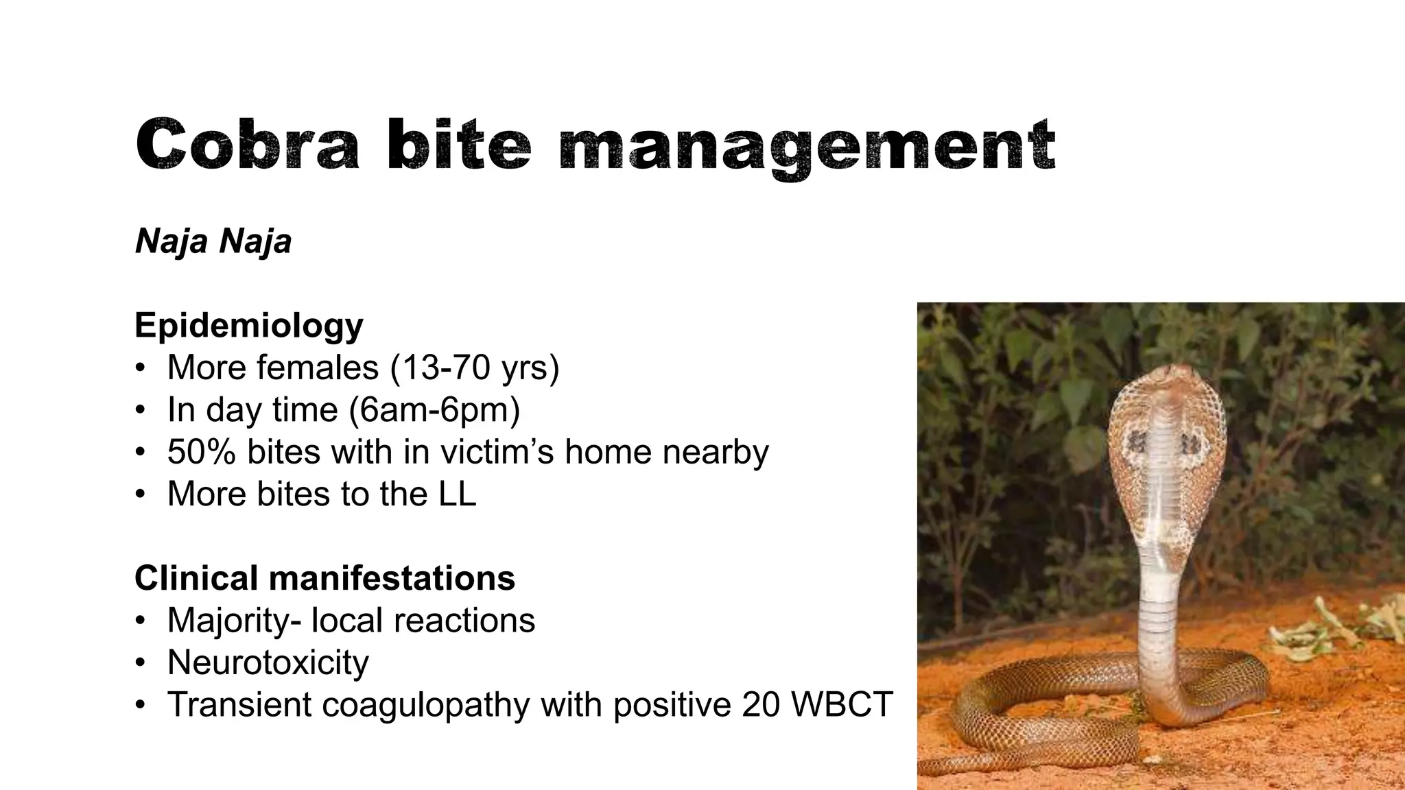 Snake Bite Management.pptx