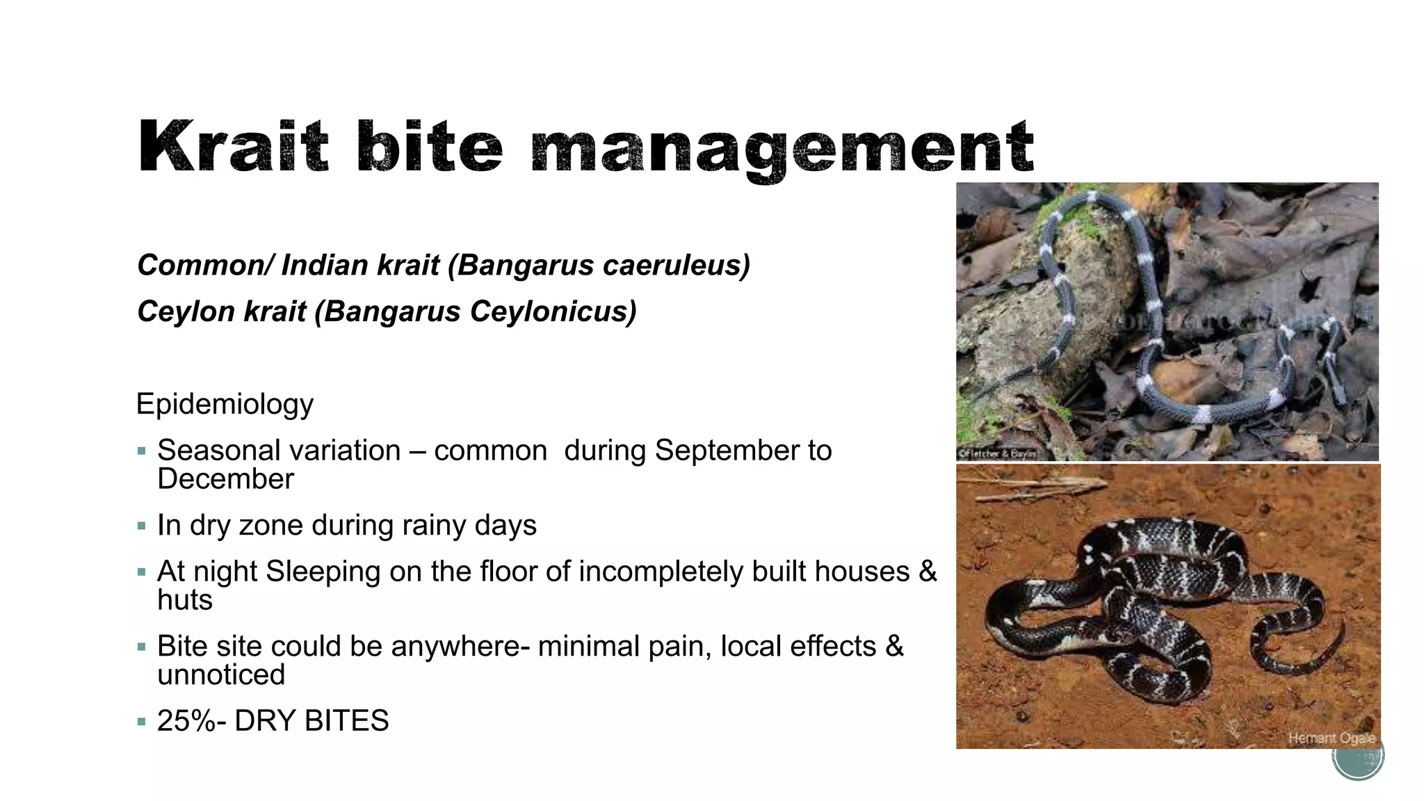 Snake Bite Management.pptx