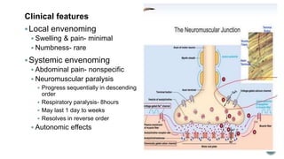 Snake Bite Management.pptx