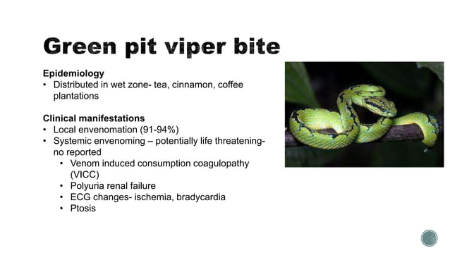 Snake Bite Management.pptx | Blood Disorders | Diseases and Conditions