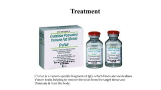 Snake Bite Management.pptx