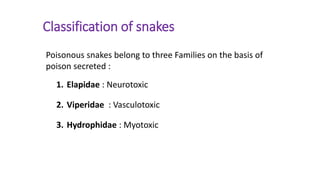Snake Bite Management.pptx