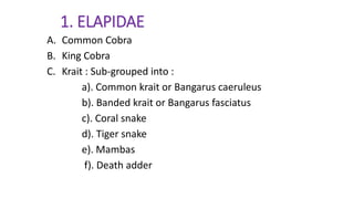 Snake Bite Management.pptx