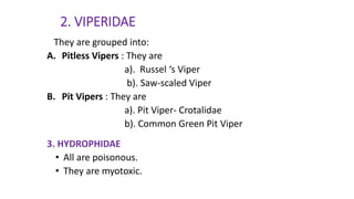 Snake Bite Management.pptx