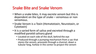 Snake Bite Management.pptx