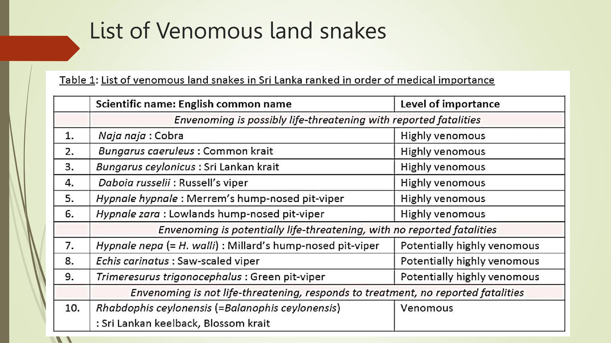 Snake Bite Management.pptx
