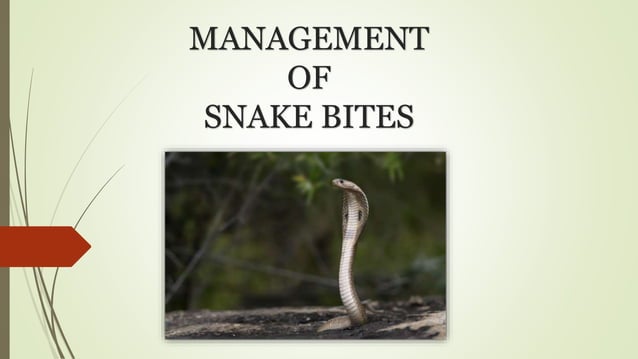 Snake Bite Management.pptx