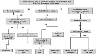 Snake Bite Management.pptx