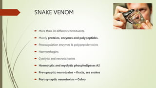 Snake Bite Management.pptx
