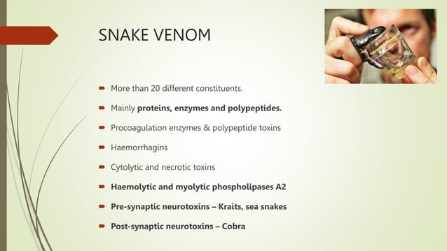 Snake Bite Management.pptx