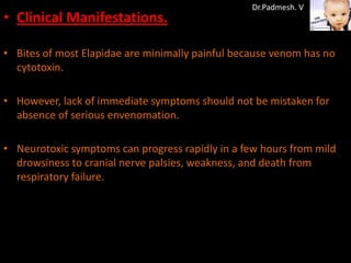 Snake bite management in Pediatrics.. Dr.Padmesh. V | PPTX