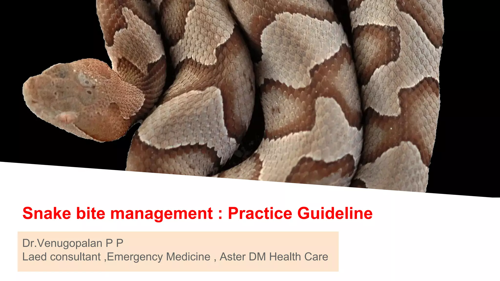 Snake bite management practice guideline | PDF