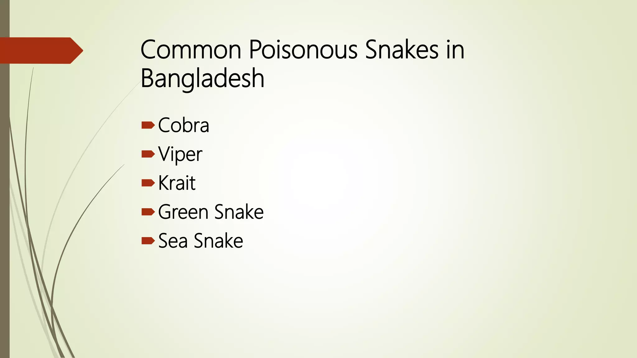 Snake Bite Management Bangladesh.pptx
