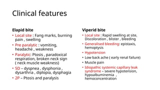 snake bite in India General medicine ppt.pptx