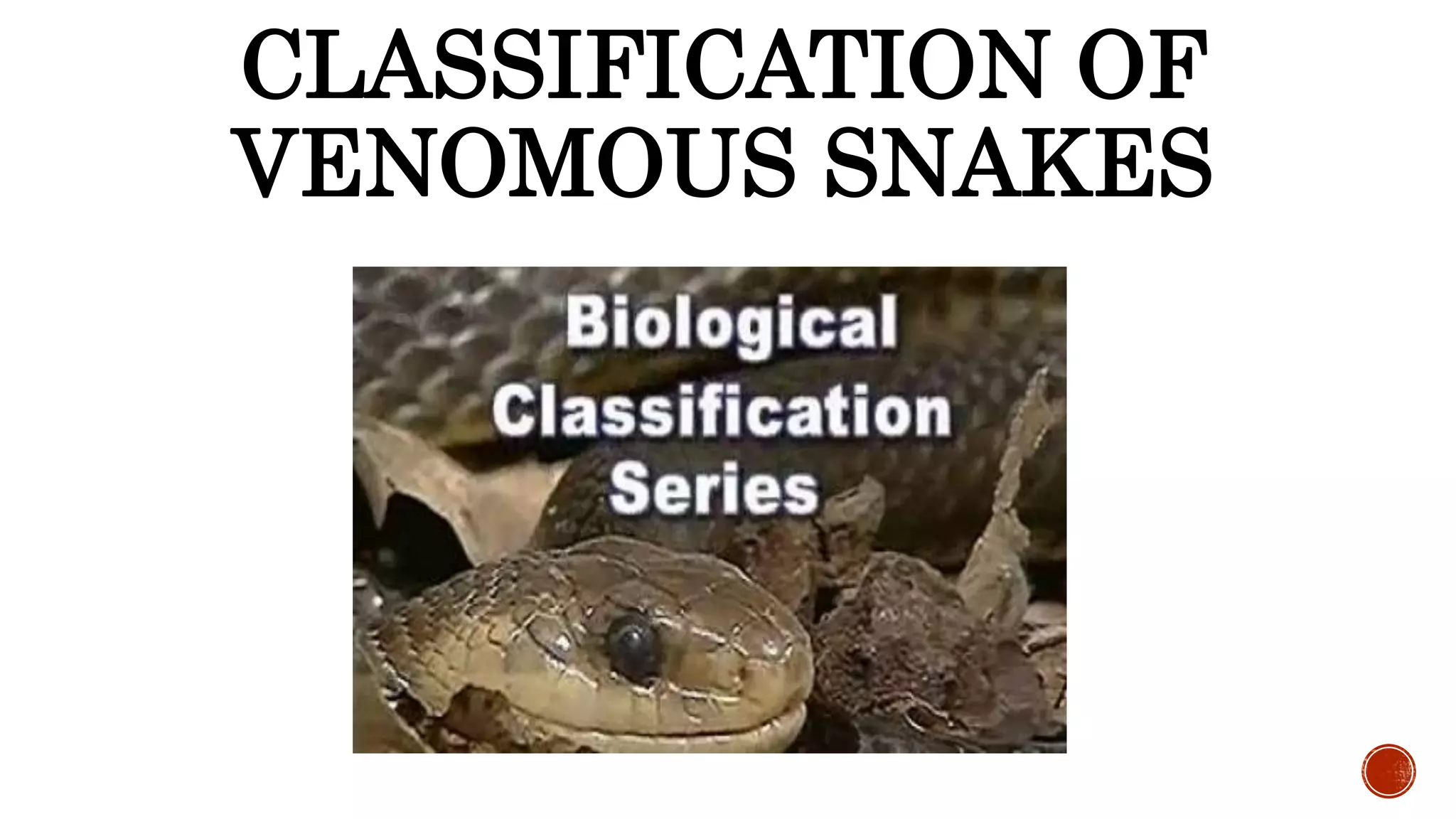 Snake bite poisoning and its treatment by RxVichuZ! | PPTX