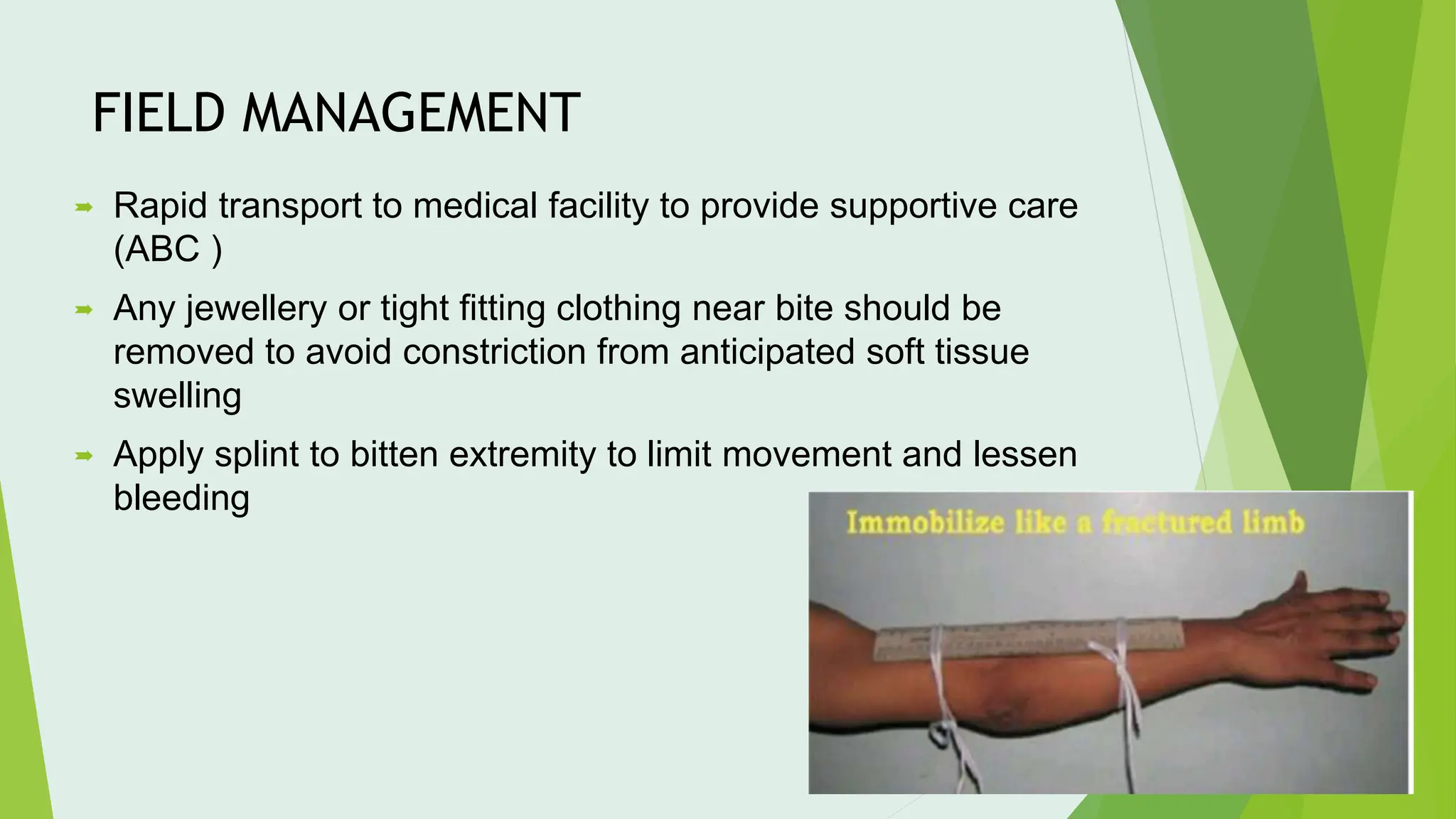 SNAKE BITE presentation... Ppt.......... | PPTX