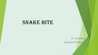 SNAKE BITE presentation... Ppt.......... | PPTX