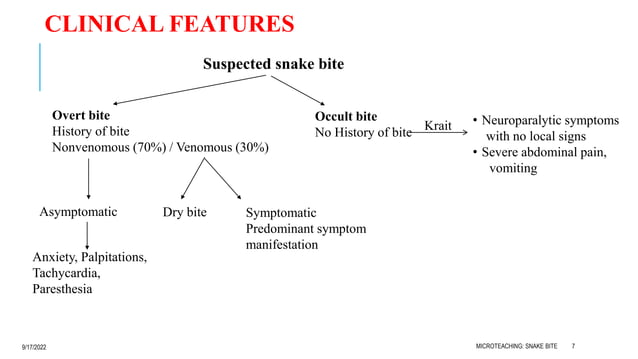 snake bite ppt final.pptx