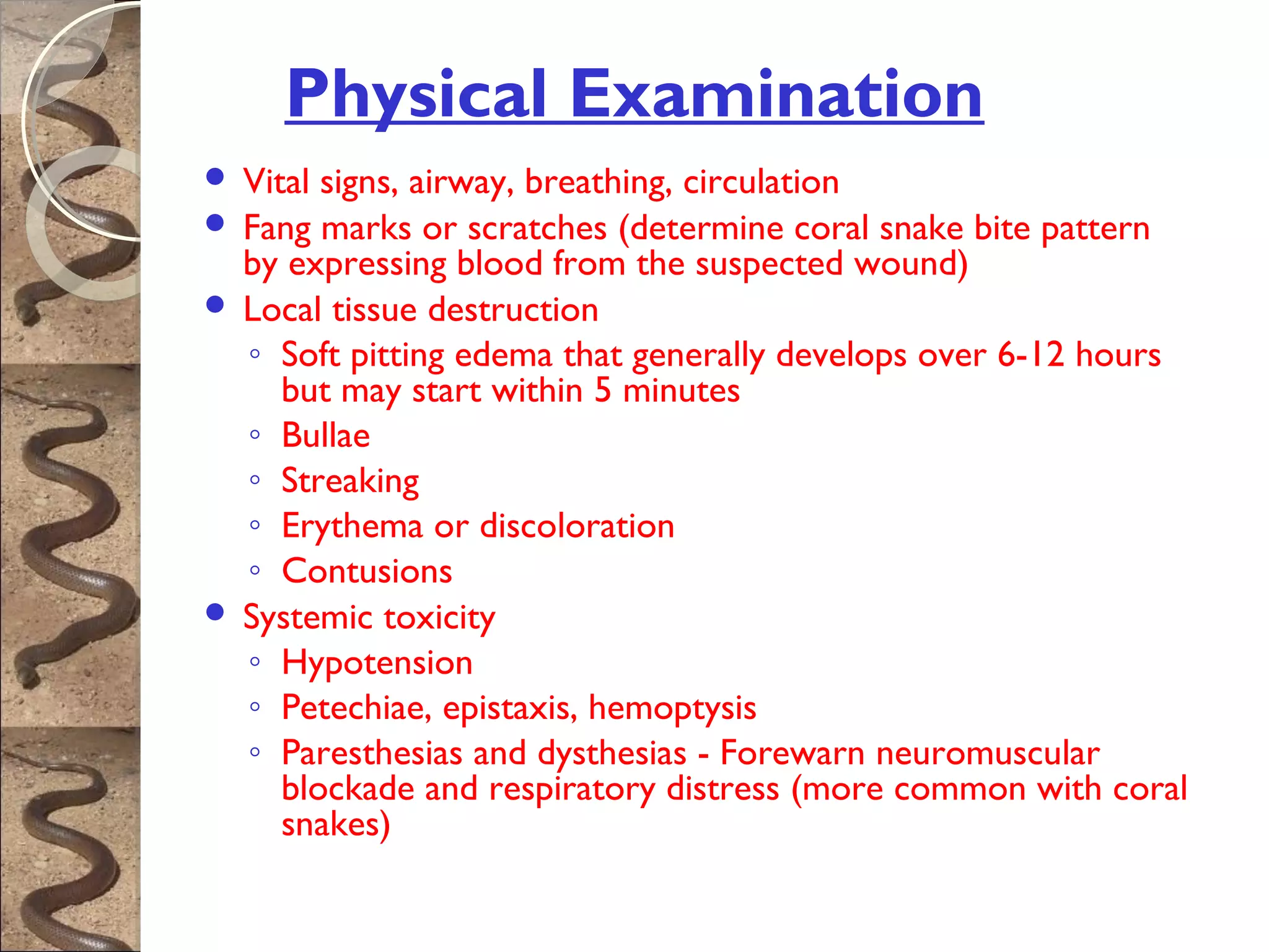 First aid on snake bite | PPT