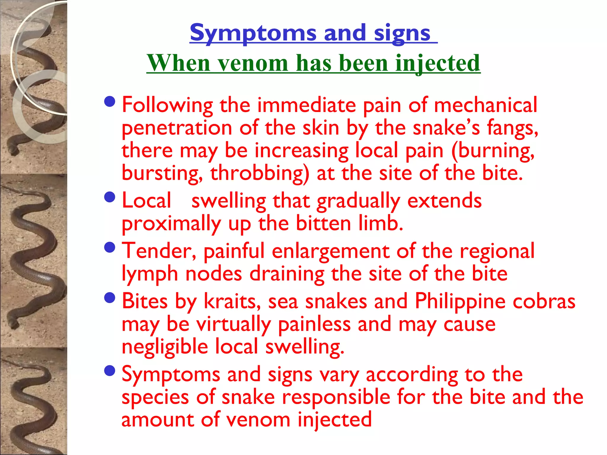 First aid on snake bite | PPT