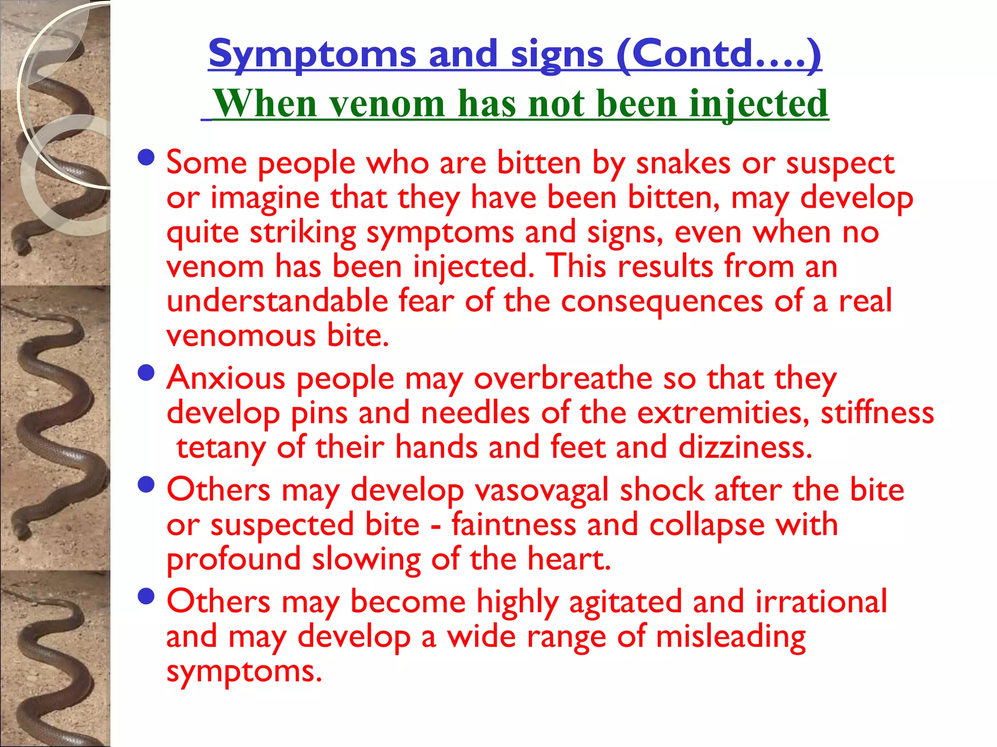 First aid on snake bite | PPT