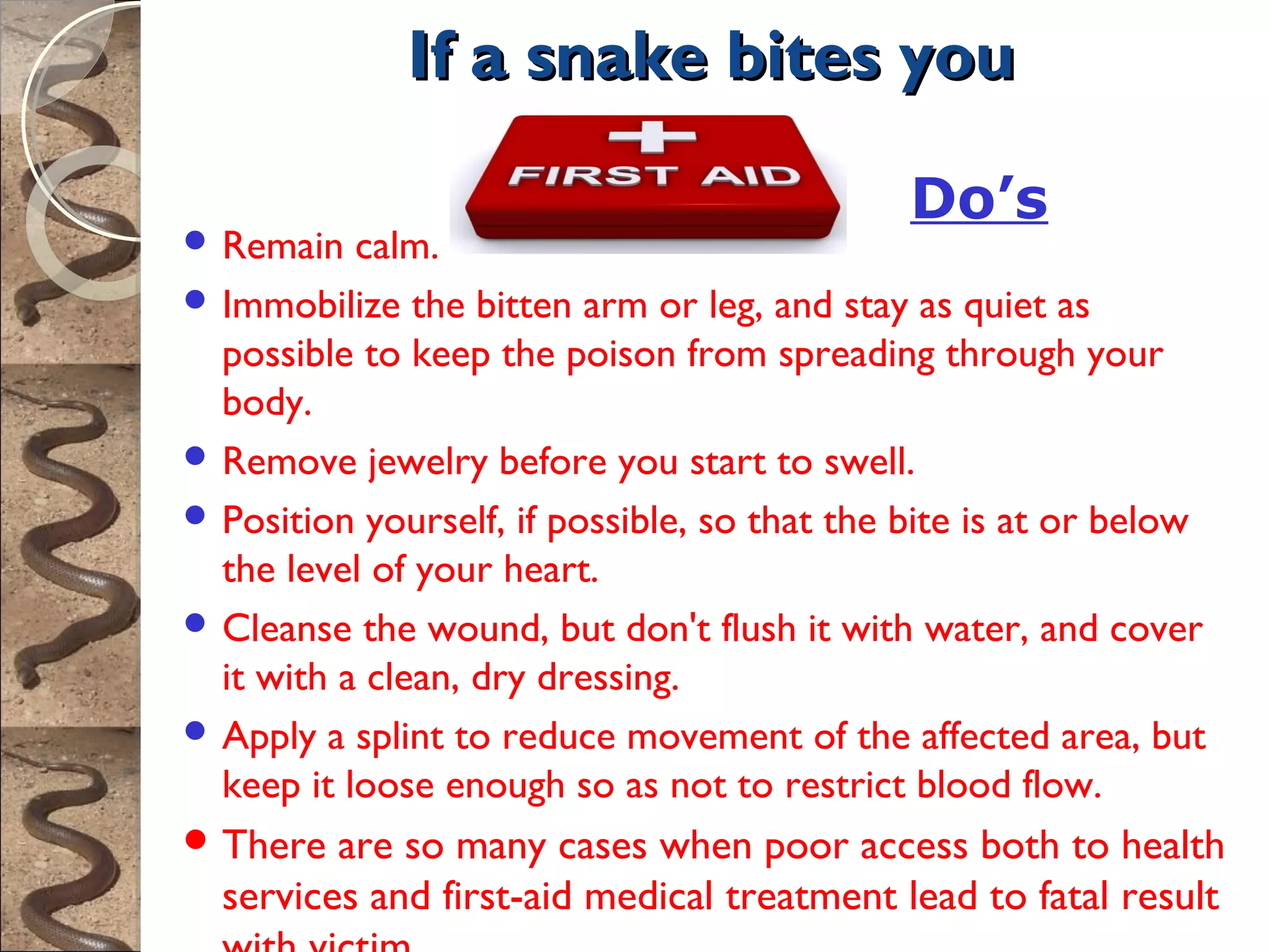 First aid on snake bite | PPT