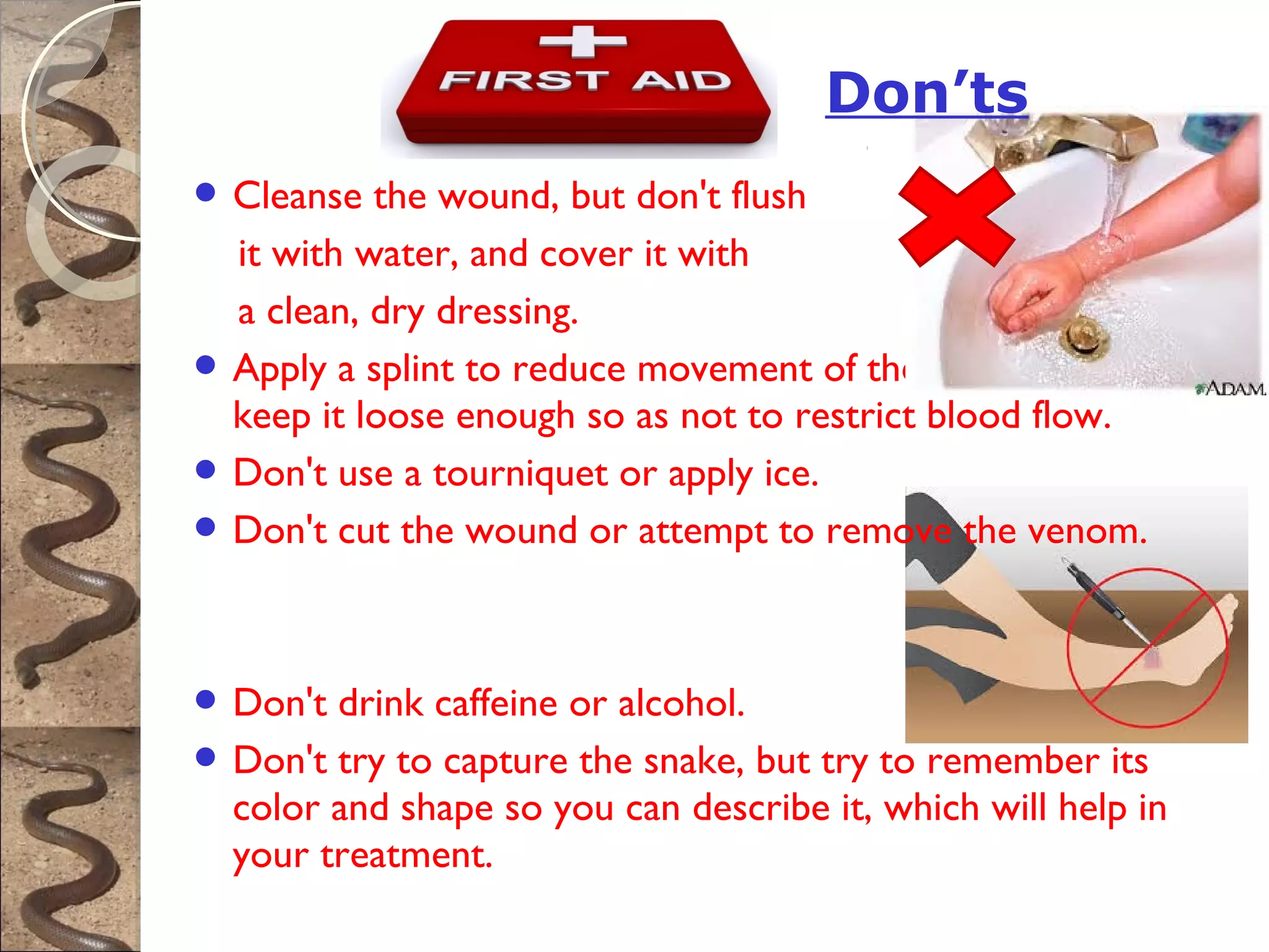 First aid on snake bite | PPT