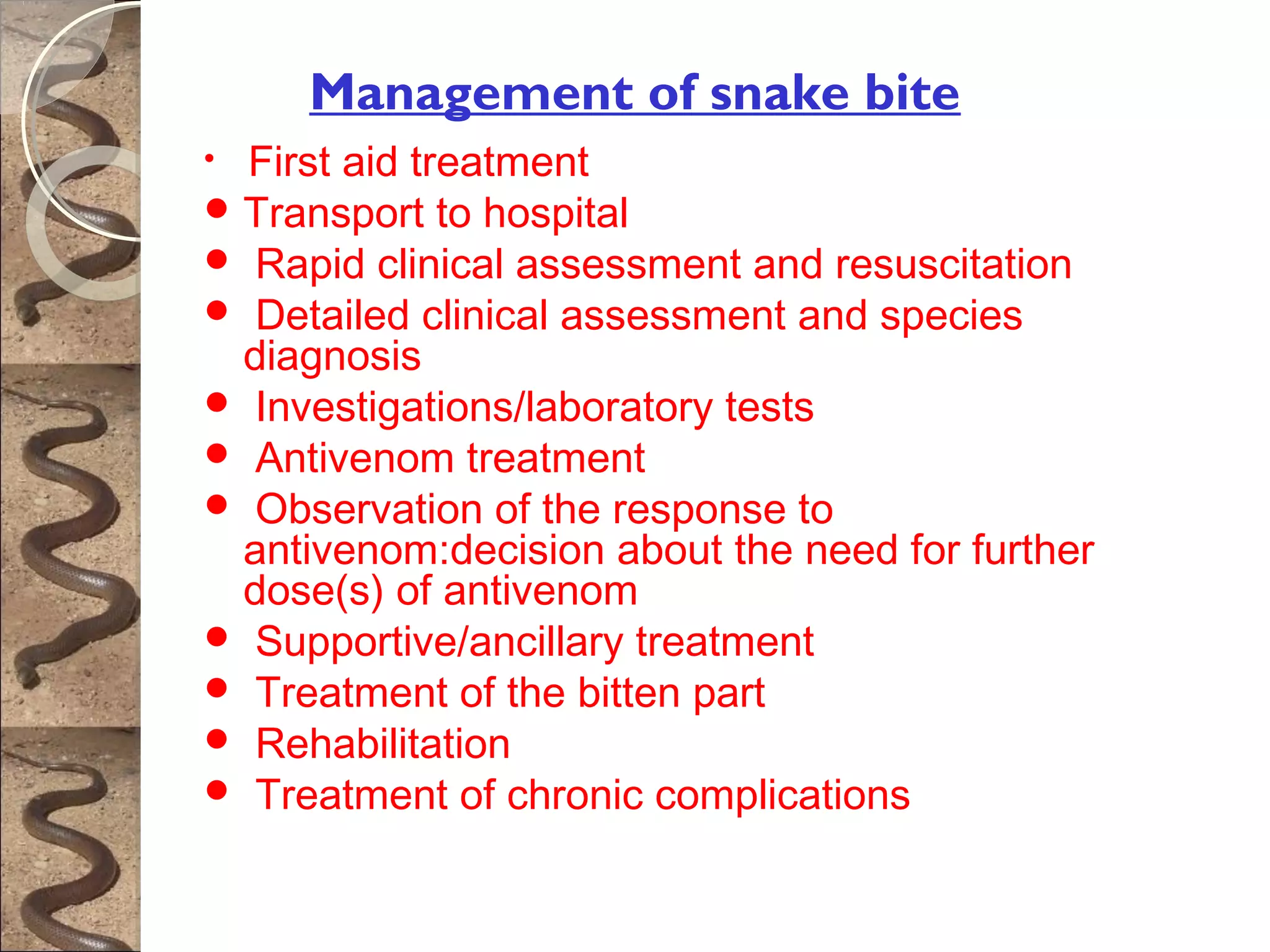 First aid on snake bite | PPT
