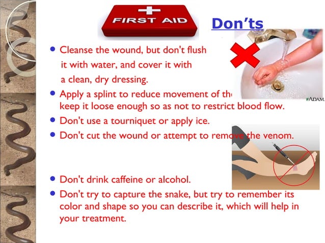 First aid on snake bite | PPT