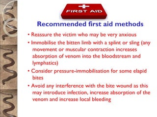 First aid on snake bite | PPT