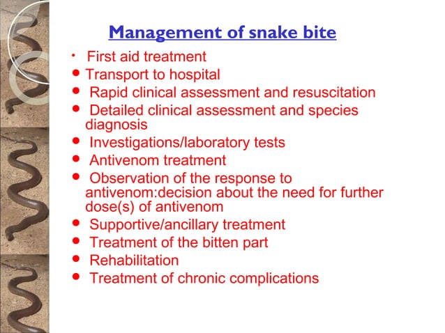 First aid on snake bite | PPT