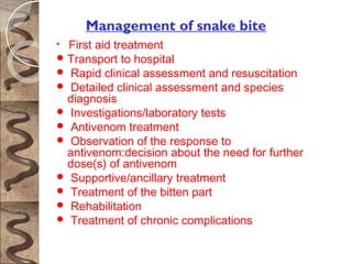 Snake Bites First Aid Treatment
