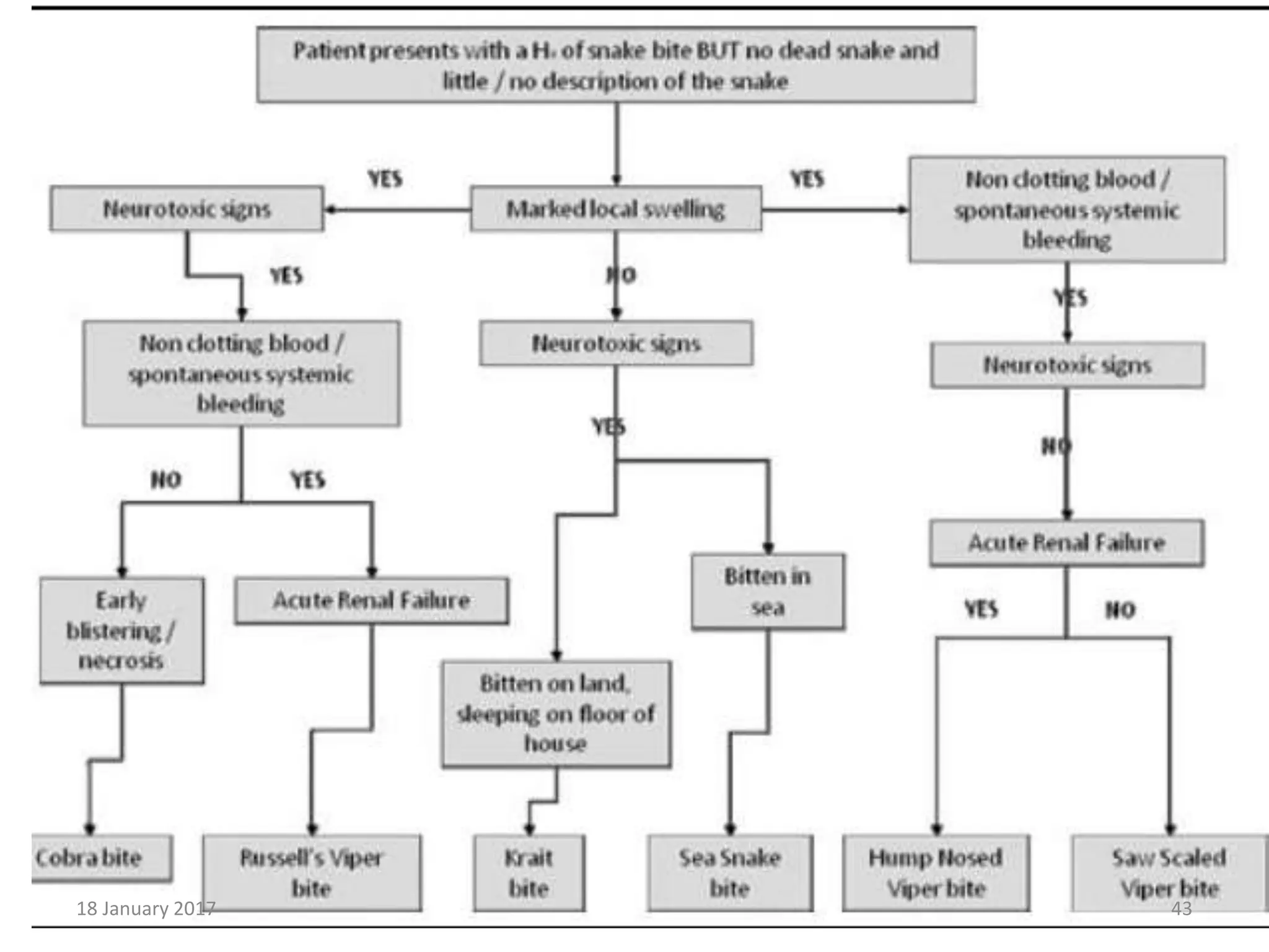 Snake bite protocol | PPT | Free Download