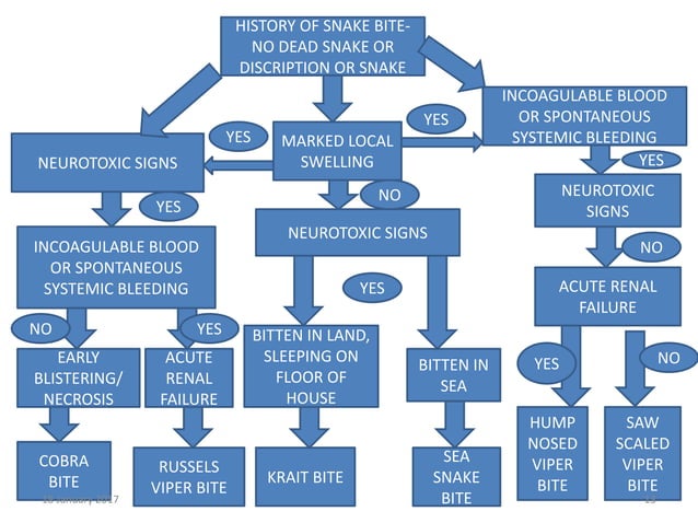 Snake bite protocol | PPT | Free Download