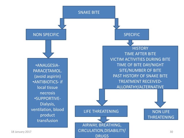 Snake bite protocol | PPT