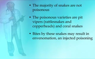 Snakebites | PPTX