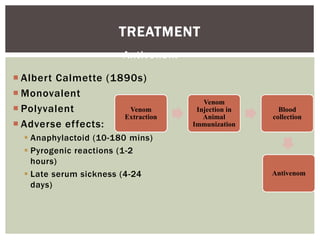 Snake bites - Neglected Disease | PPT